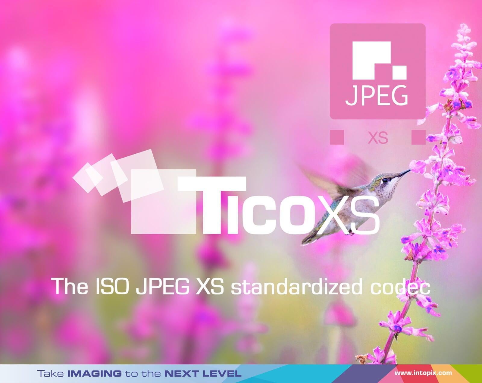 intoPIX TicoXS | JPEG XS IP Cores & SDKs (ISO/IEC 21122)